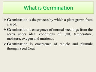 Germination Definition