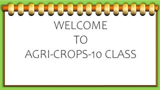 Seed Germination Testing using rag-doll and seed box method | PPTX