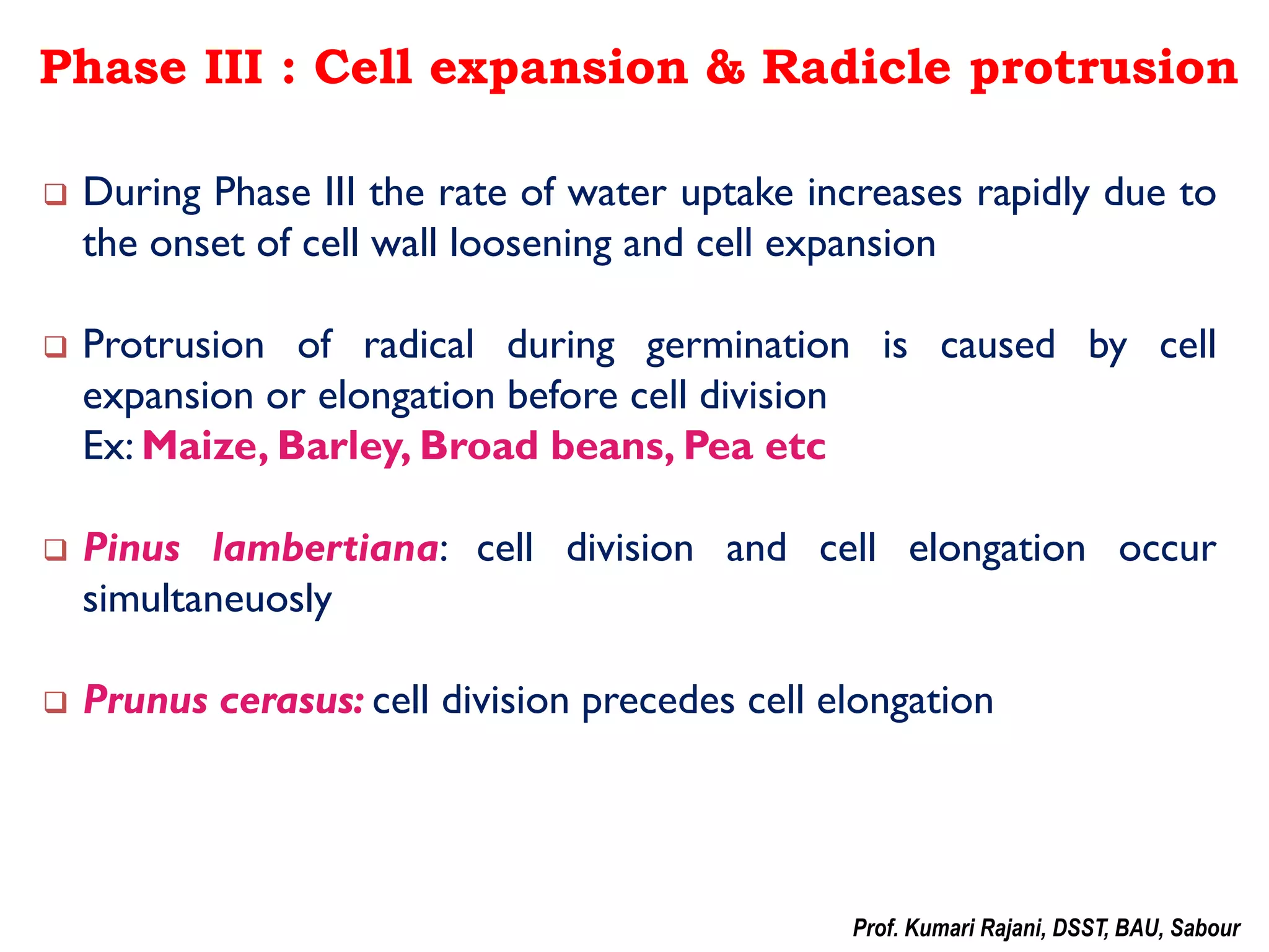 Seed Germination Testing.pdf