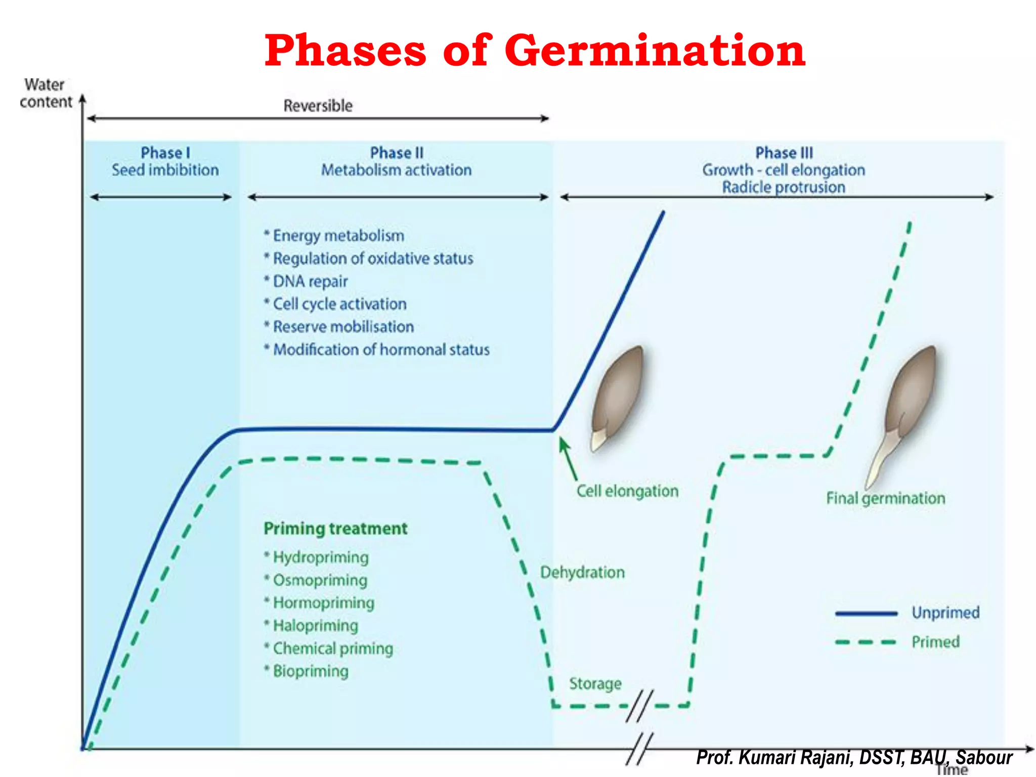 Seed Germination Testing.pdf