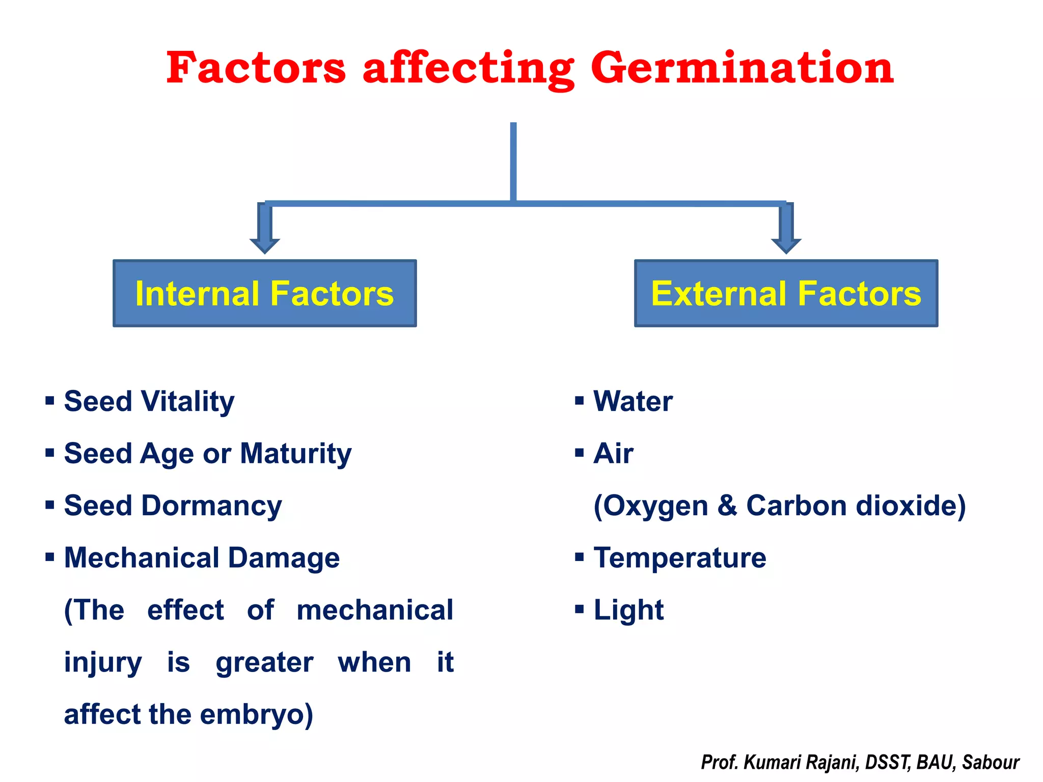 Seed Germination Testing.pdf