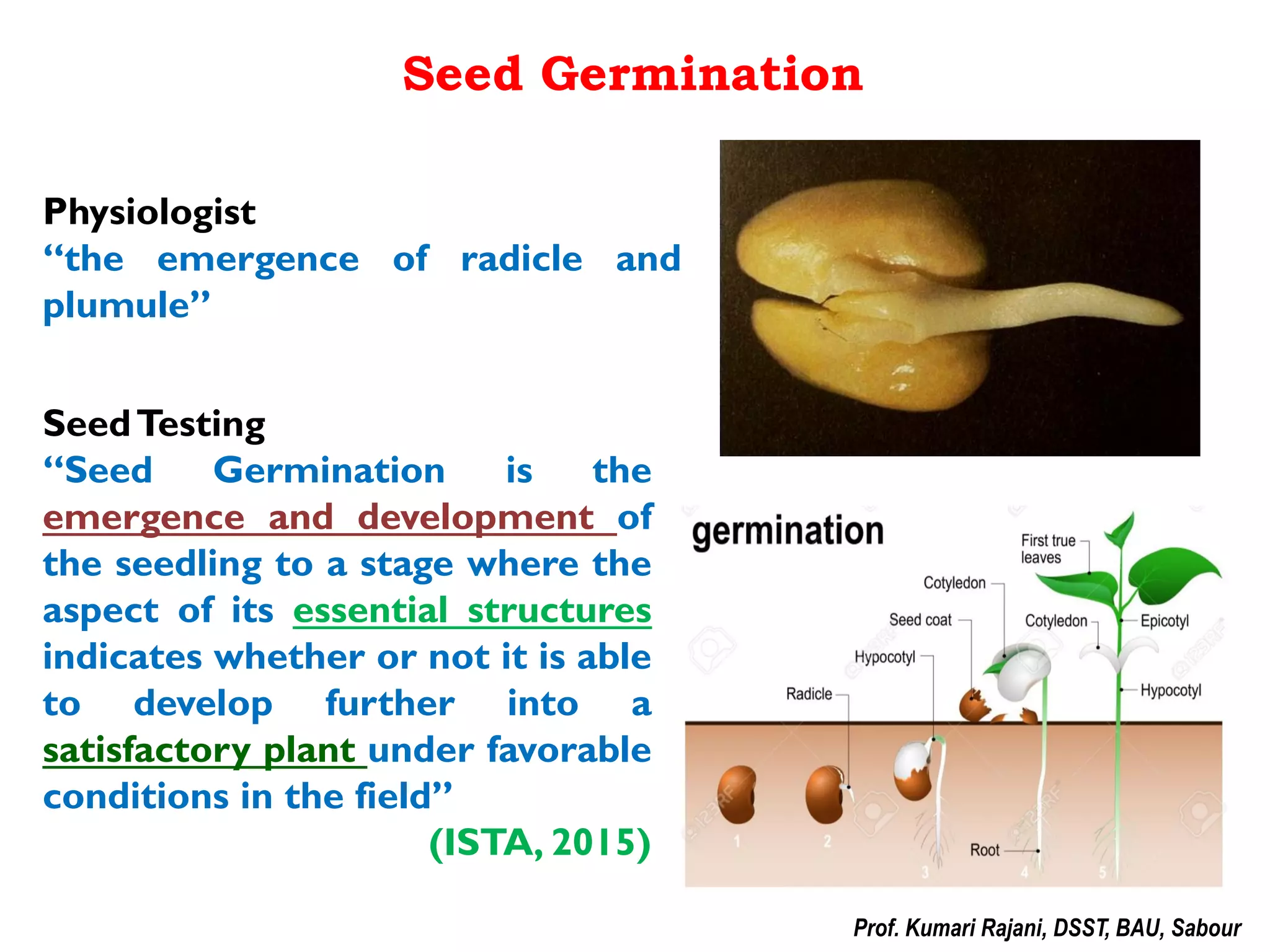 Seed Germination Testing.pdf