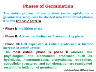 Seed Germination Testing.pdf