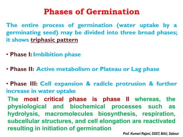 Seed Germination Testing.pdf | Gardening | Home & Garden