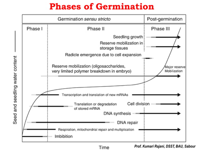 Seed Germination Testing.pdf | Gardening | Home & Garden