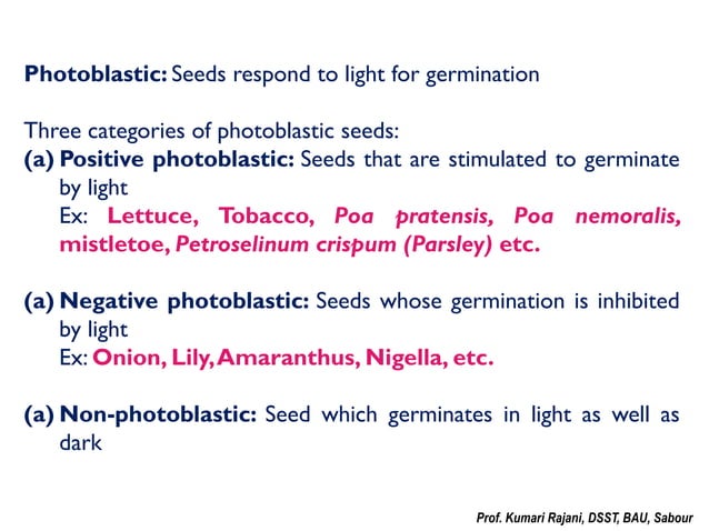 Seed Germination Testing.pdf | Gardening | Home & Garden