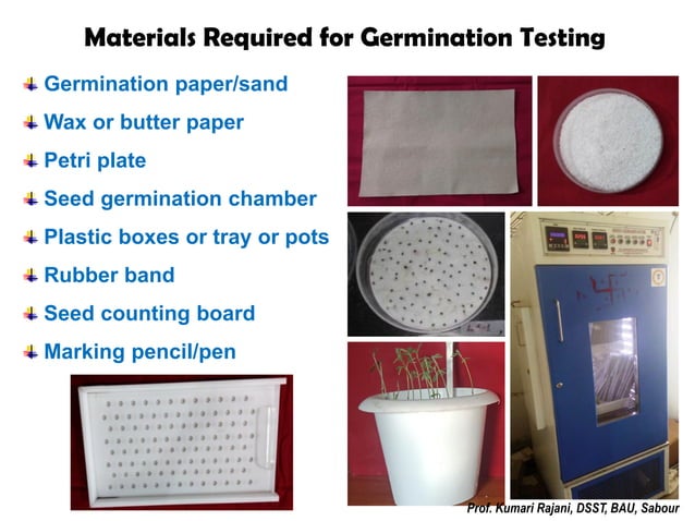 Seed Germination Testing.pdf | Gardening | Home & Garden