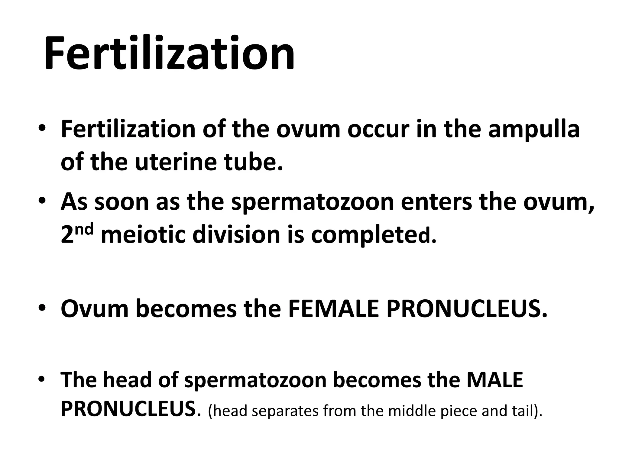 Germ Layers Ppdf | PDF