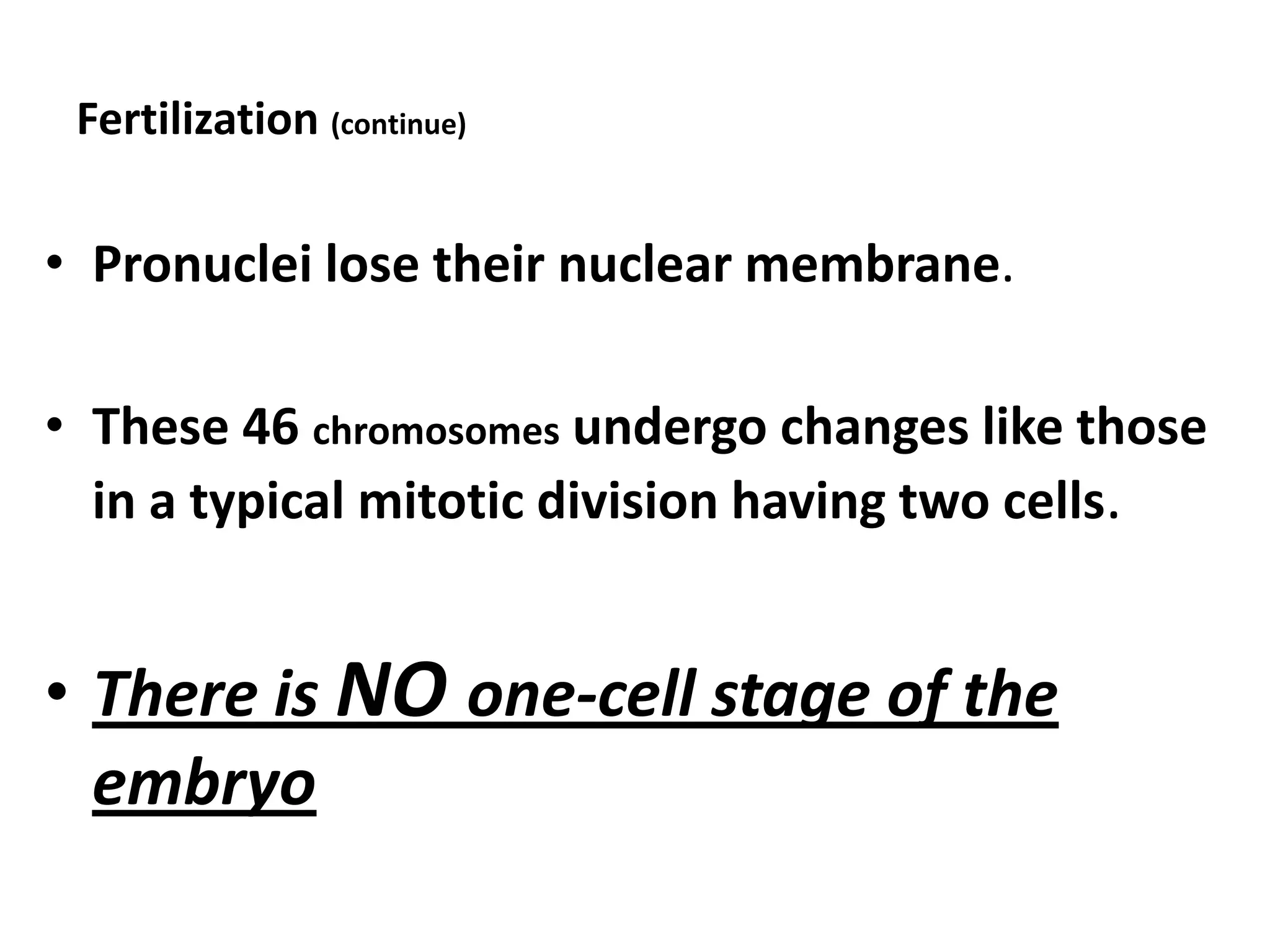 Germ Layers Ppdf | PDF