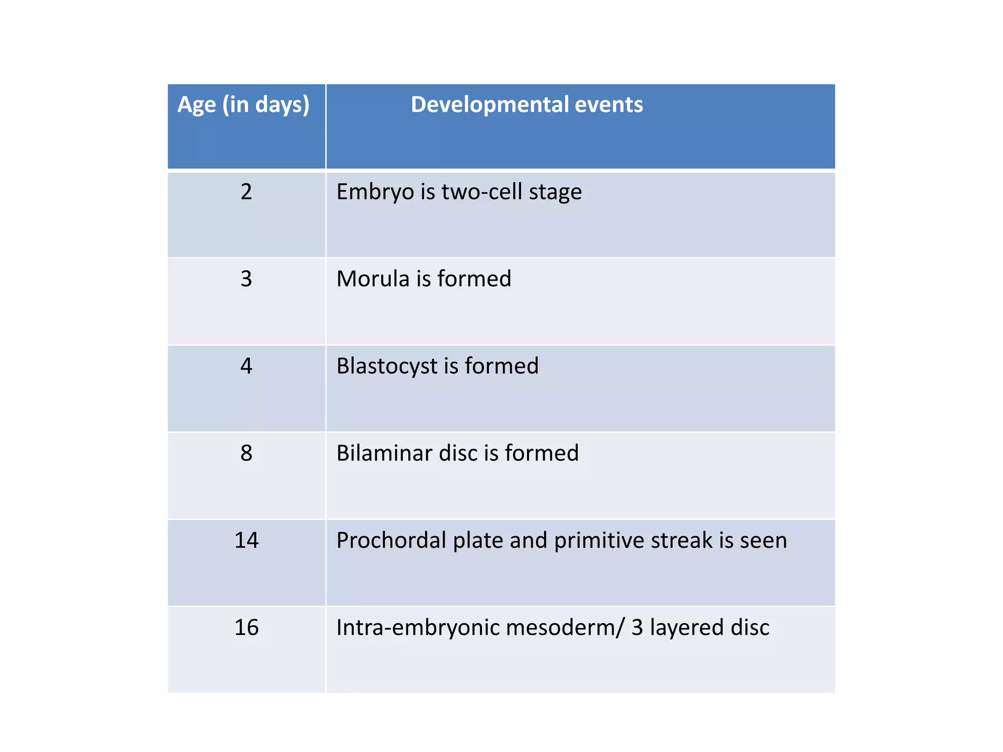 Germ Layers Ppdf | PDF