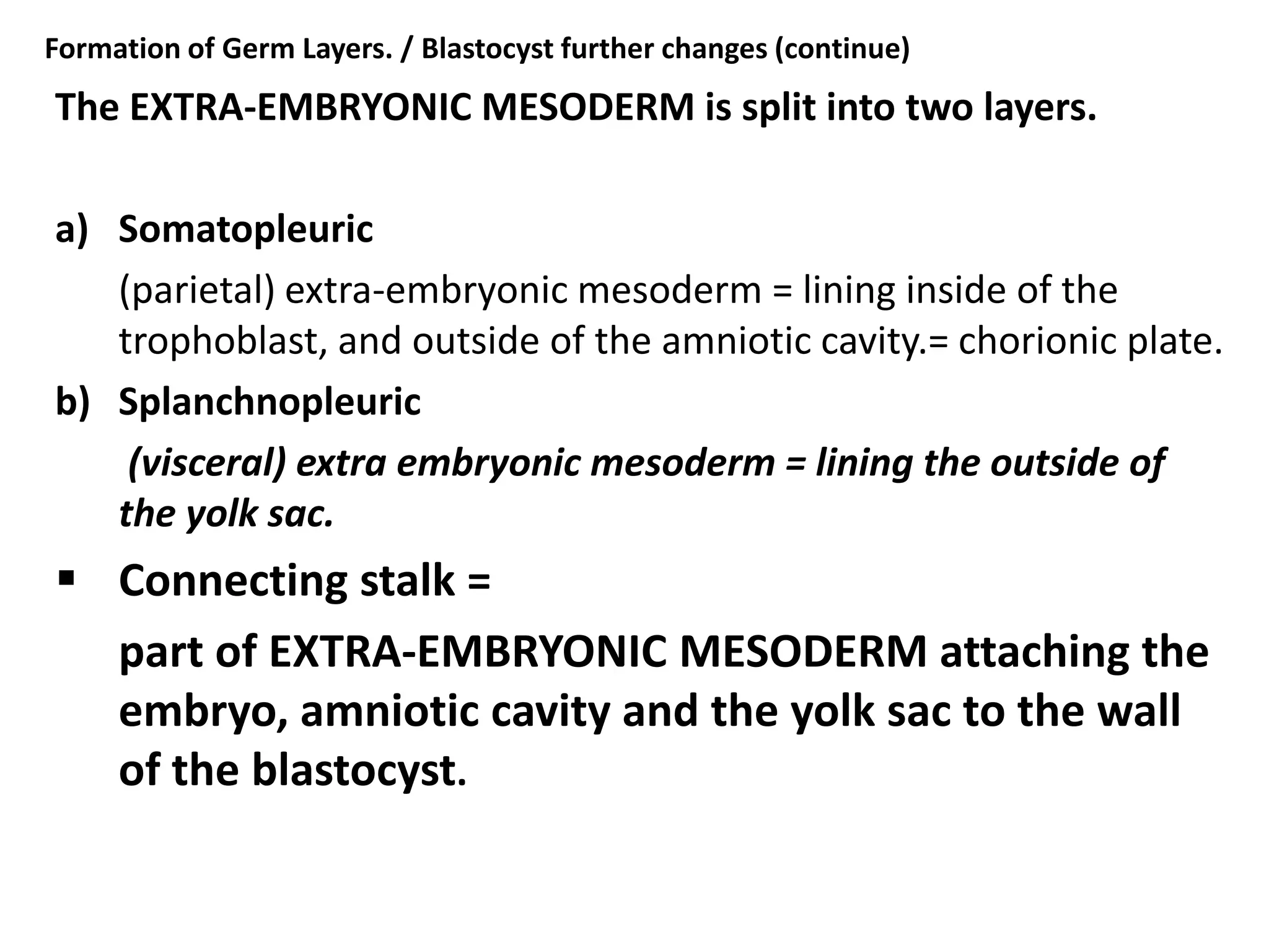 Germ Layers Ppdf | PDF | Pregnancy | Reproductive Health