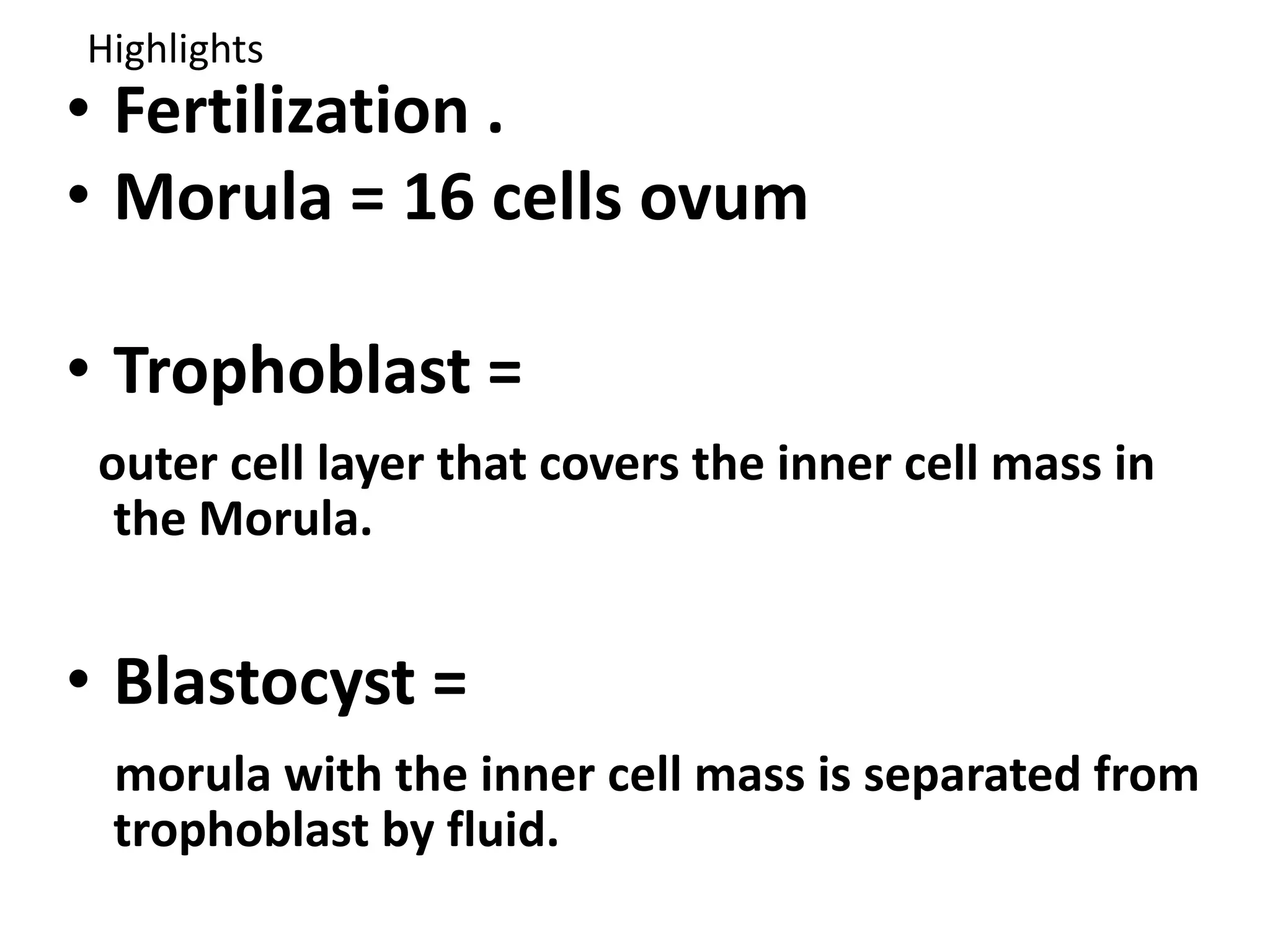 Germ Layers Ppdf | PDF