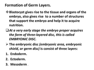 Two Embryonic Layers