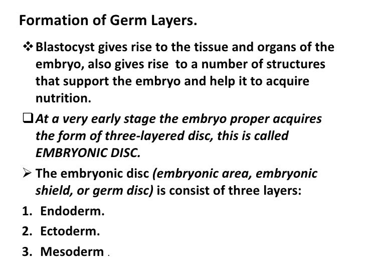 Germ Layers Ppdf