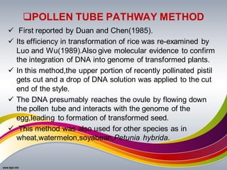 Germline transformation eivran | PDF
