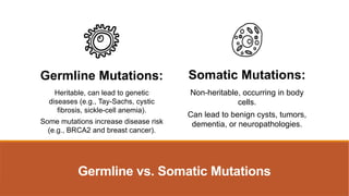 Germline_vs_Somatic_Mutations_Presentation.pptx