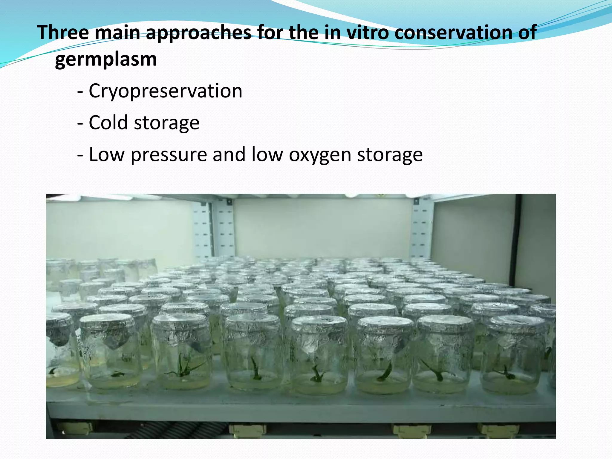 Germplasm and core groups | PPTX