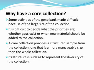 Germplasm and core groups | PPTX