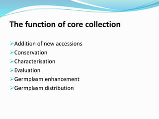 Germplasm and core groups | PPTX