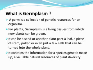Germplasm and core groups | PPTX