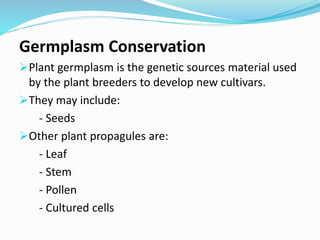 Germplasm and core groups | PPTX