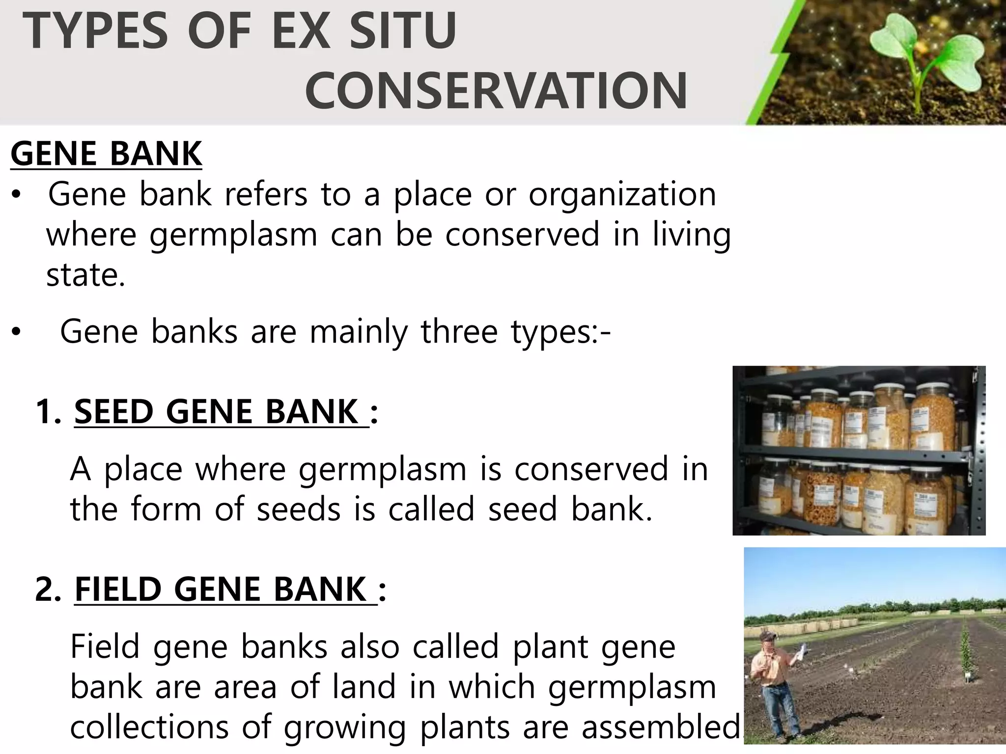 Germplasm and cryopreservation | PPTX
