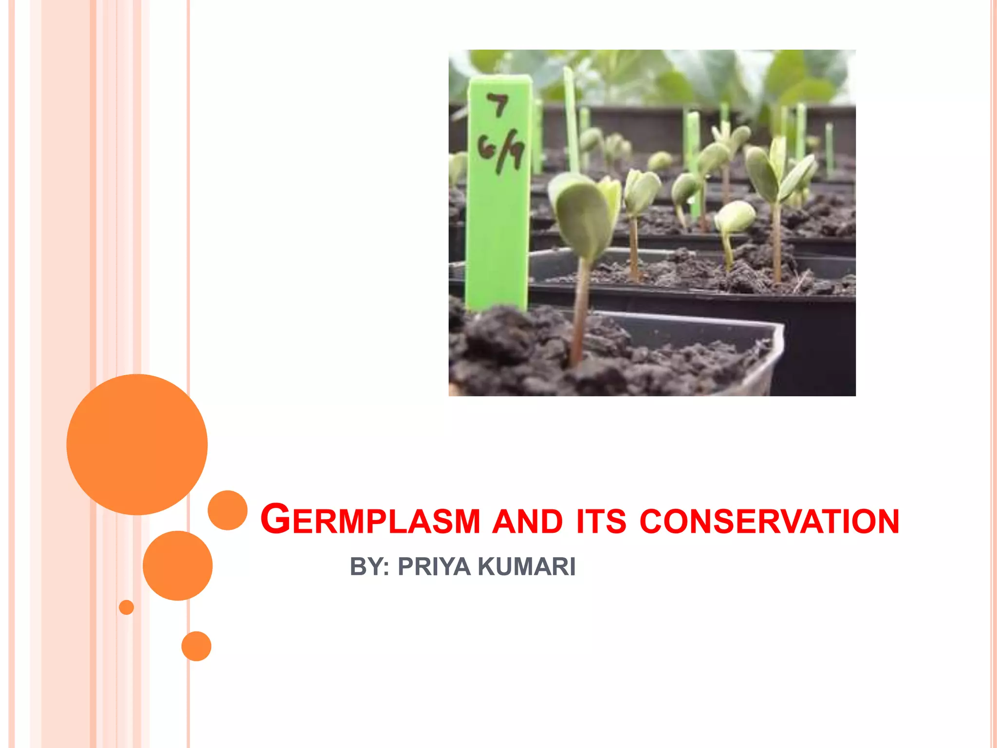 Germplasm and its conservation | PPTX