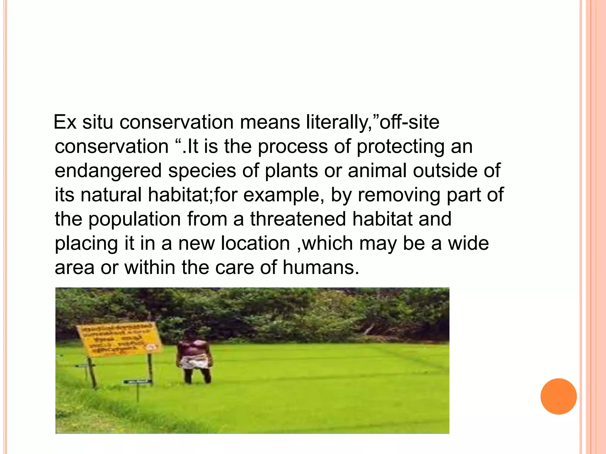 Germplasm and its conservation | PPTX