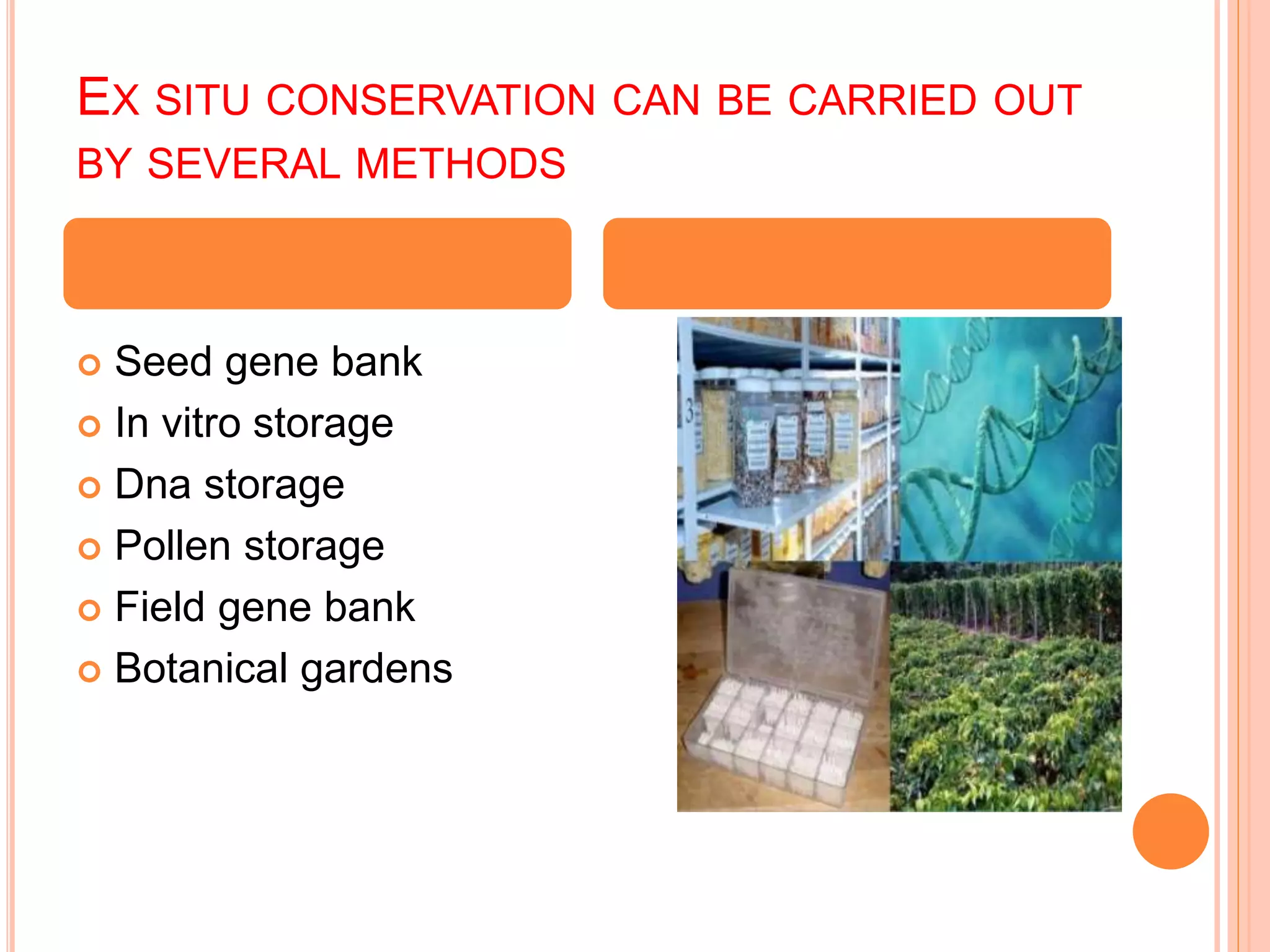 Germplasm and its conservation | PPTX