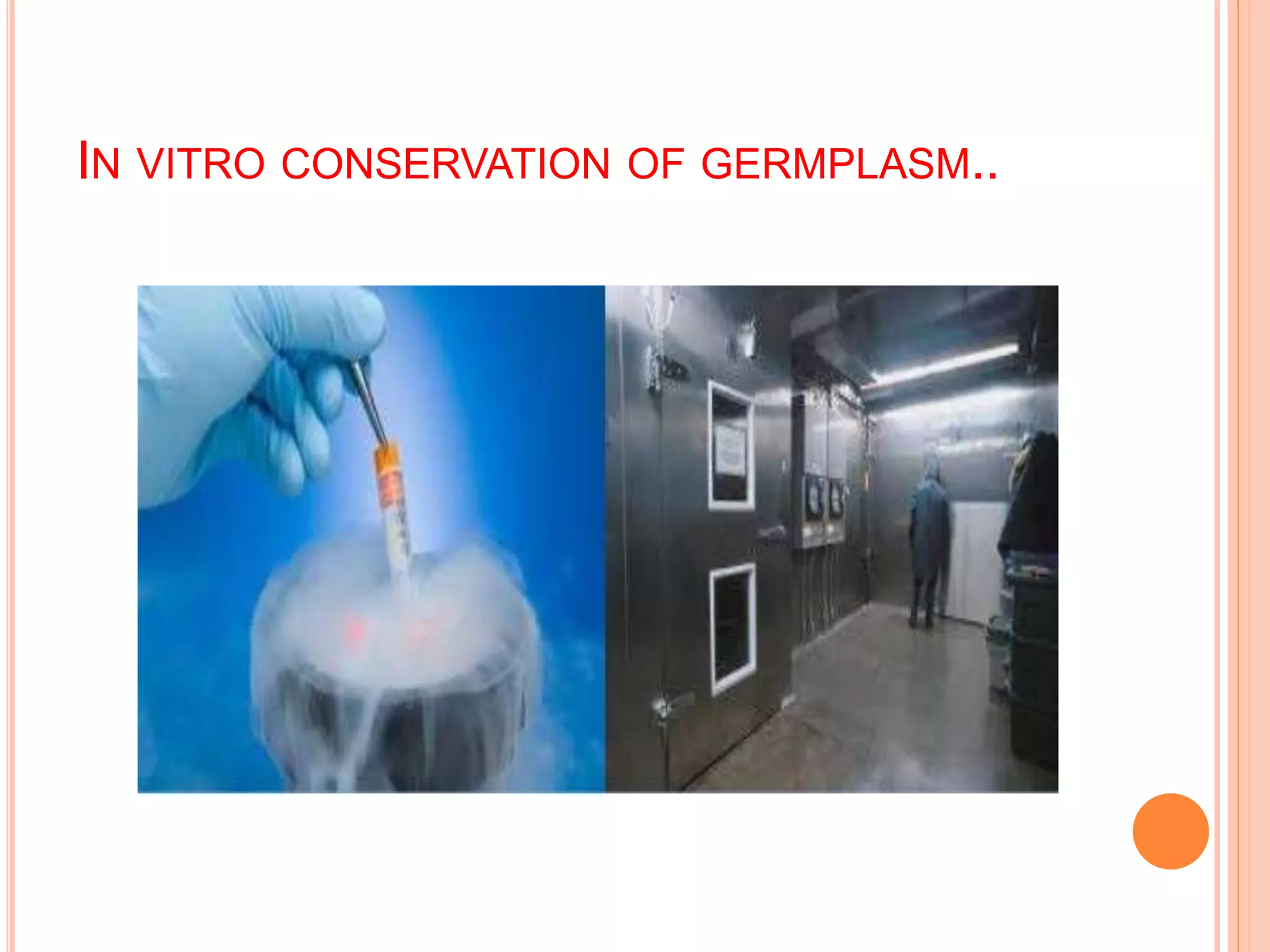 Germplasm and its conservation | PPTX