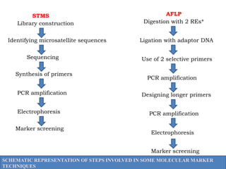 Germplasm characterization | PPTX