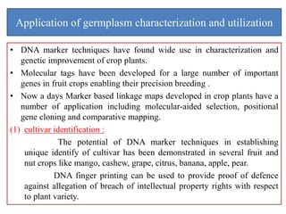 Germplasm characterization | PPTX