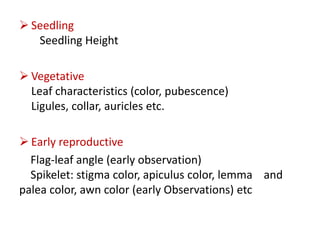 Germplasm characterization.ppt