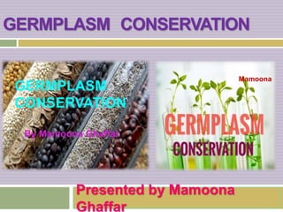 Germplasm Conservation || Presented by Mamoona Ghaffar | PPT