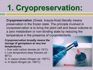 Germplasm Conservation || Presented by Mamoona Ghaffar | PPTX
