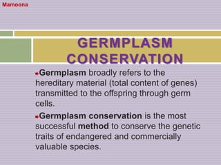 Germplasm Conservation || Presented by Mamoona Ghaffar | PPTX