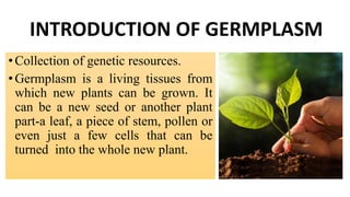 Germplasm conservation of plants | PPTX