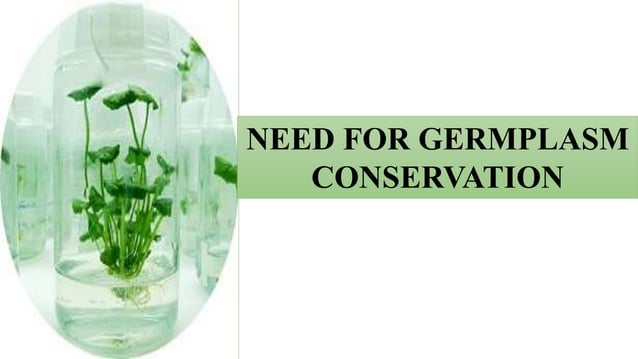 Germplasm conservation of plants | PPTX