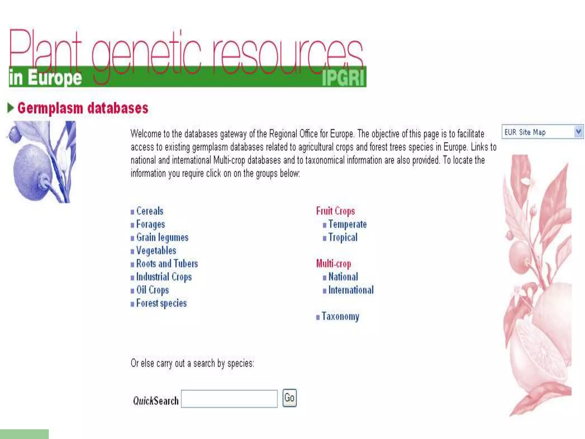 GERMPLASM DATABASE.ppt | Databases | Computer Software and Applications