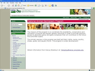 GERMPLASM DATABASE.ppt