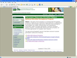 GERMPLASM DATABASE.ppt