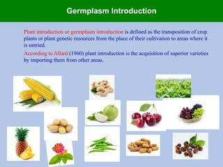 Germplasm introduction and exchange | PPTX