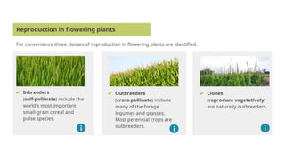 Germplasm Maintainance-pre breeding systems- mode of reproduction | PPT ...