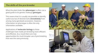 Germplasm Maintainance-pre breeding systems- mode of reproduction | PPTX