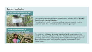 Germplasm Maintainance-pre breeding systems- mode of reproduction | PPT