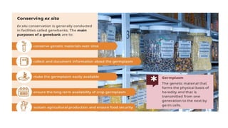 Germplasm Maintainance-pre breeding systems- mode of reproduction | PPTX