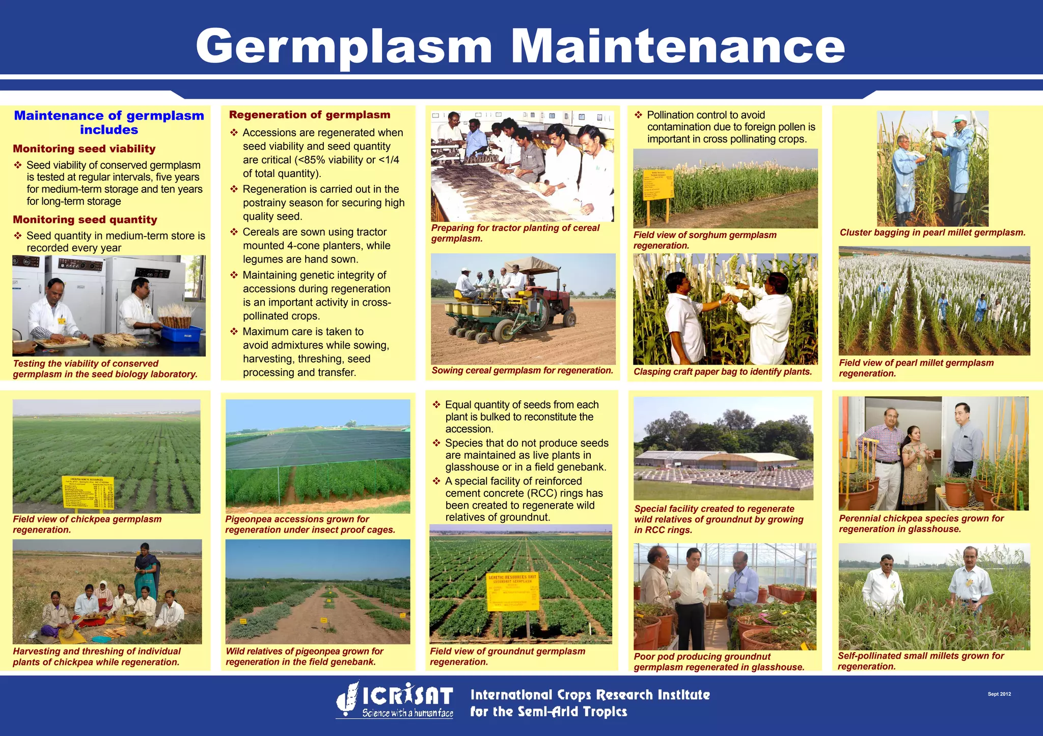 Germplasm maintenance | PDF