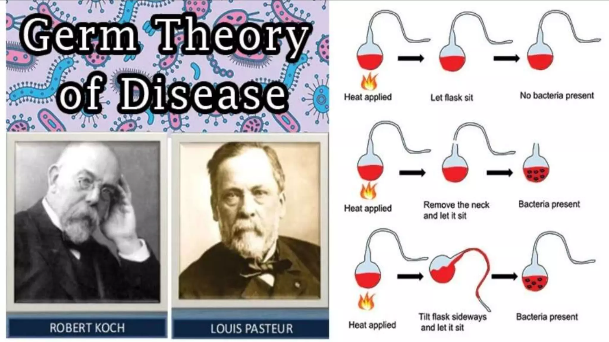Germ's theory and kochs postulates | PPTX