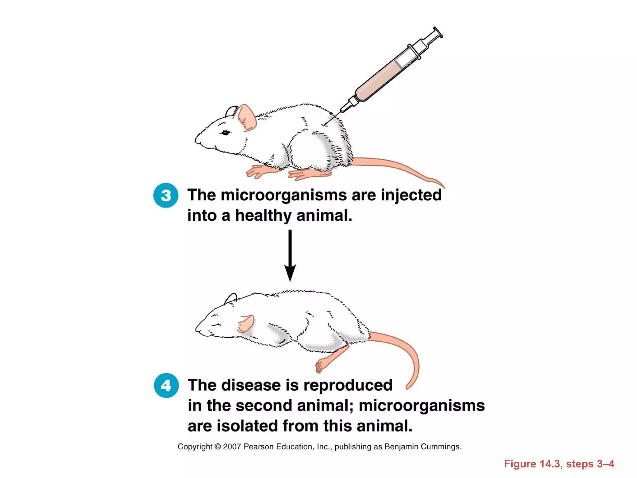 Germ theory of diseases.pptx