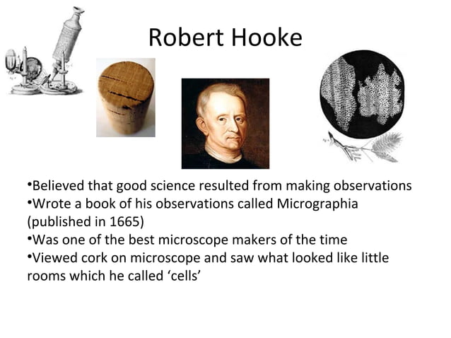 Germ theory of diseases.pptx | Biological Sciences | Science